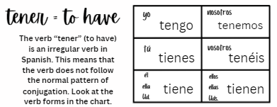 Tener Present Tense - Verb Ninja